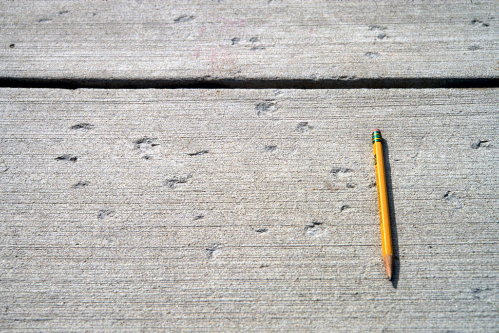 concrete popouts | Holcim MN